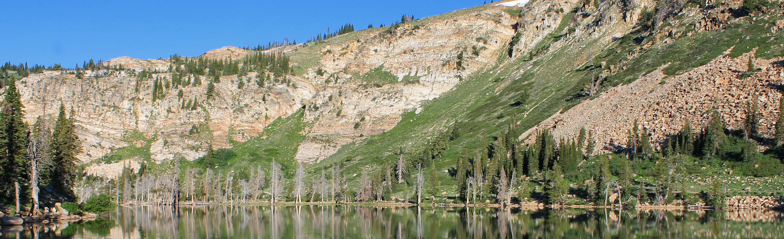 Cassia County, Idaho - Home